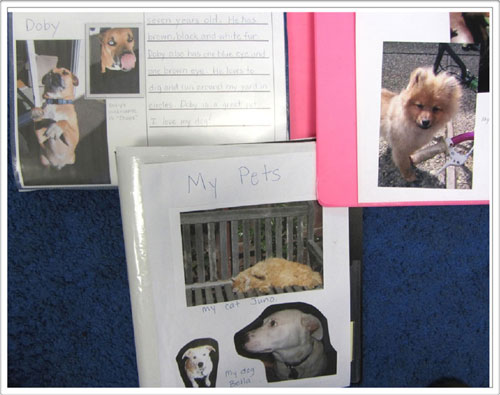 Story Time Example - Curriculum The Bridge School