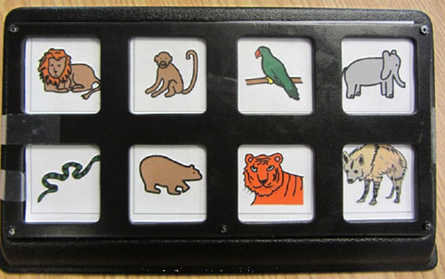 Story Time Example - Curriculum The Bridge School